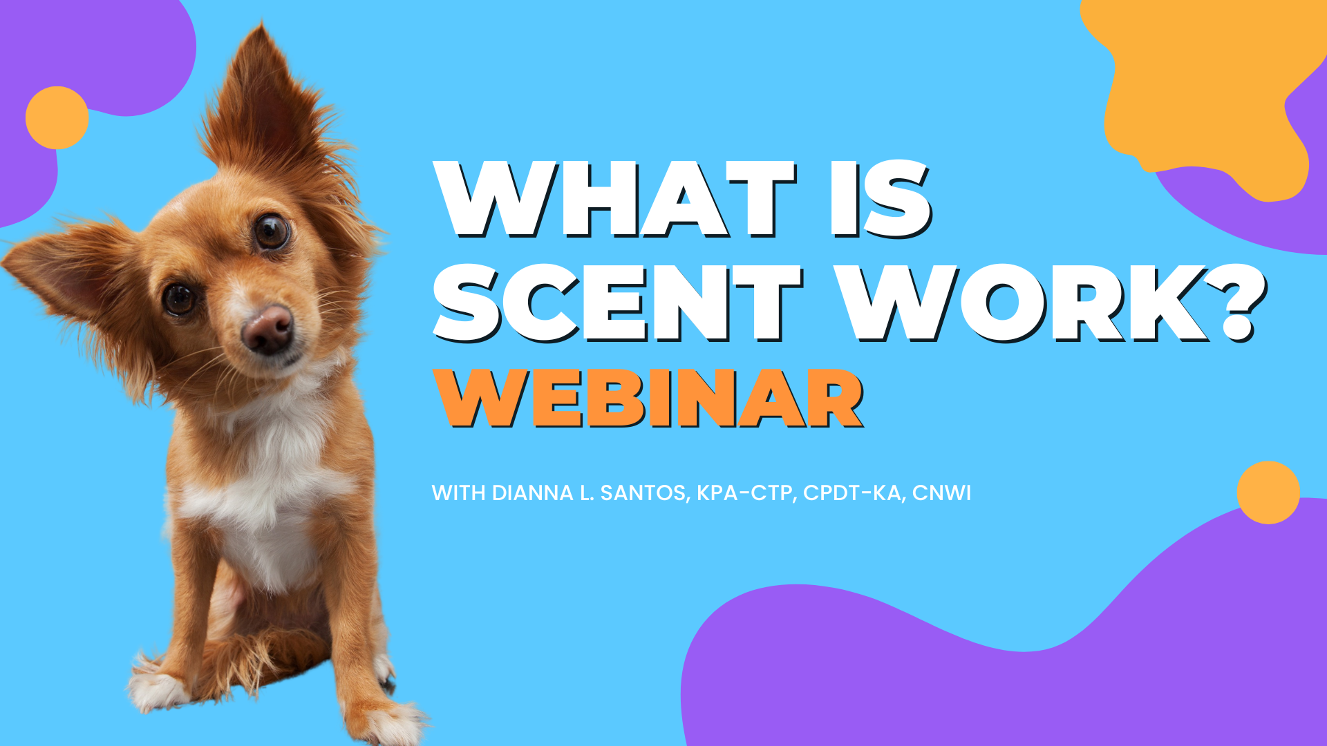 What is Scent Work Webinar – Scent Work University