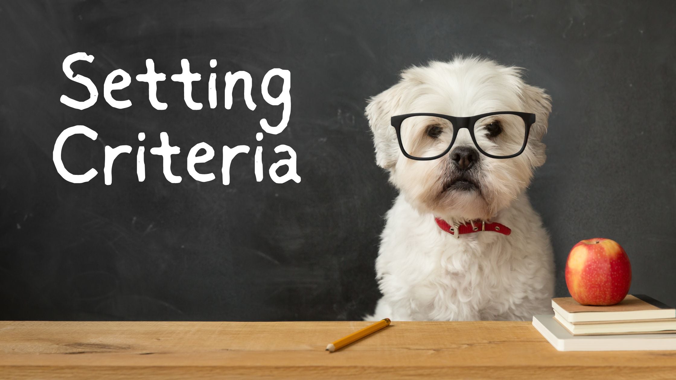 Setting Criteria – Scent Work University