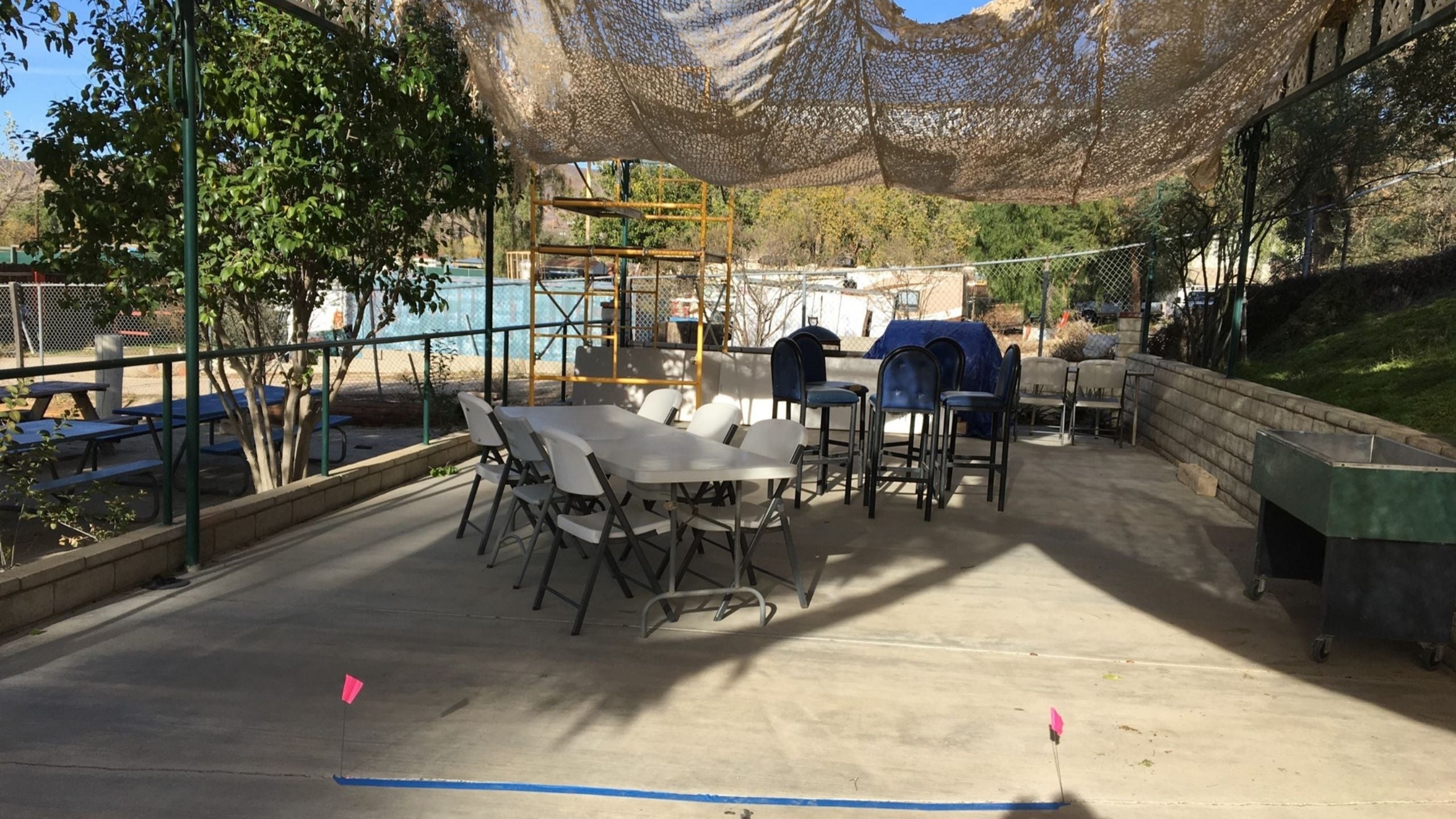 How You Start and Finish Matters – Scent Work University