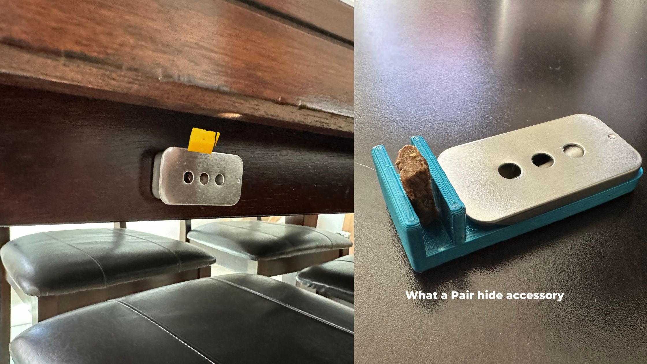 Pairing, What is That?! – Scent Work University