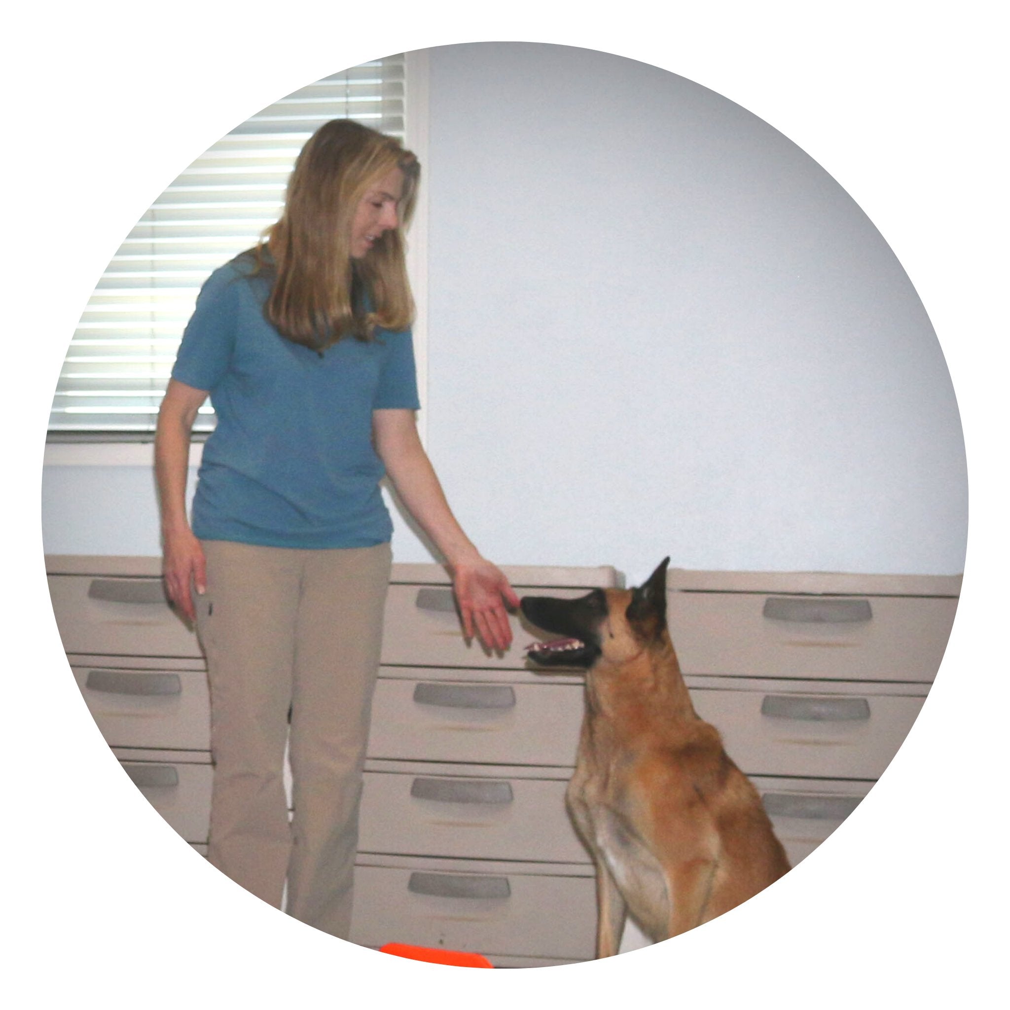 Meet Kathy Childers – Scent Work University