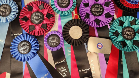 NACSW Program – Scent Work University