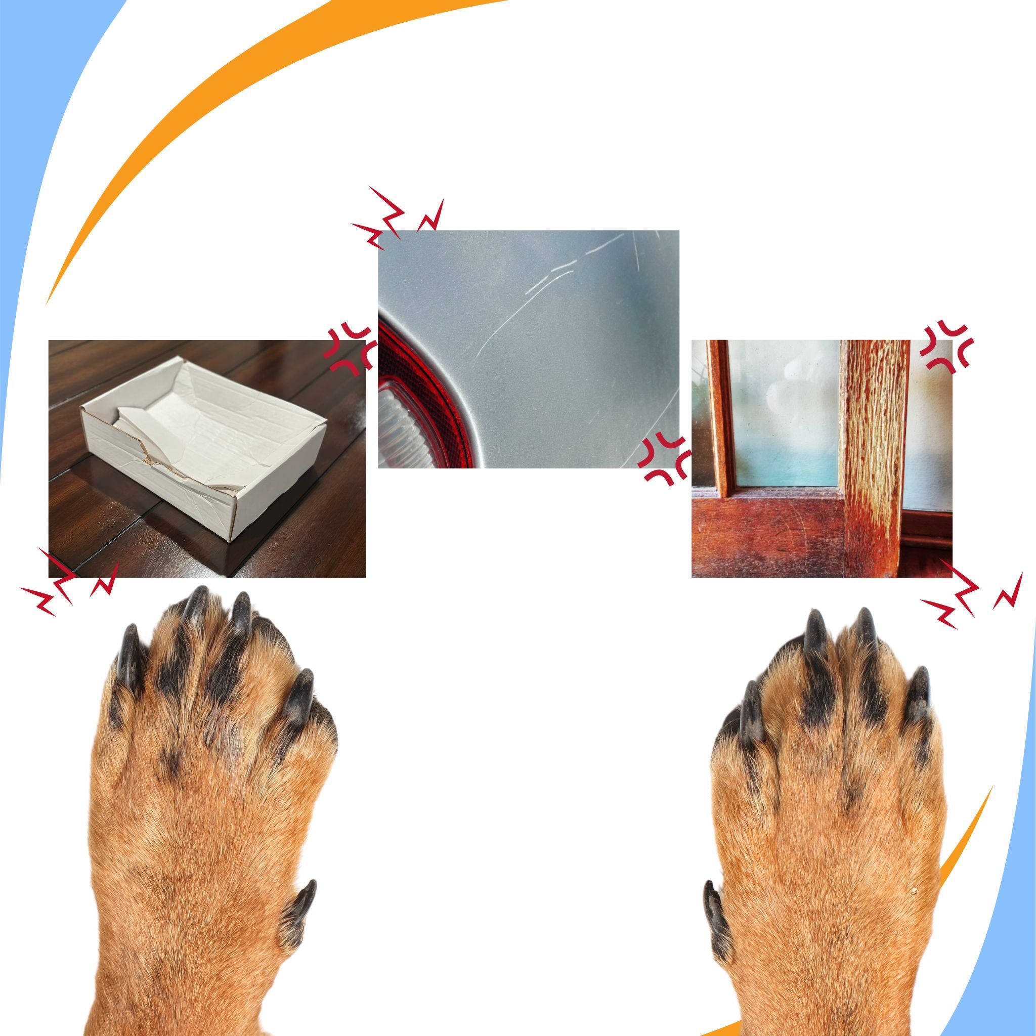 Aggressive Alerts: Causes and Solutions Webinar – Scent Work University