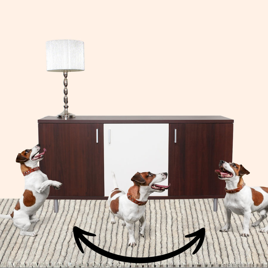 Products – Scent Work University