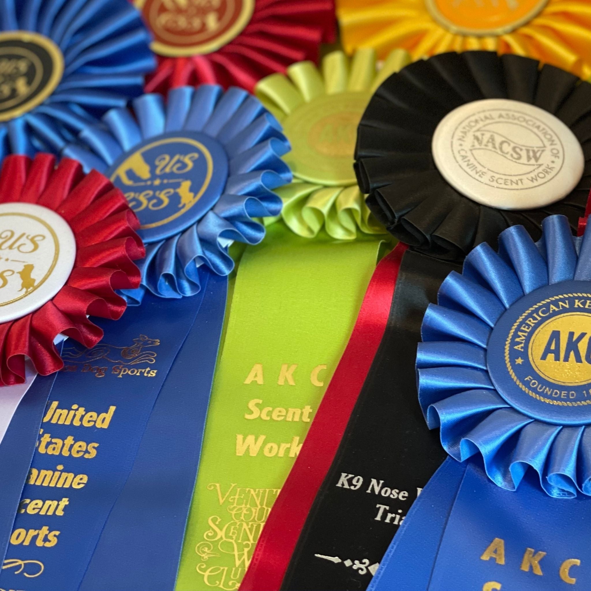All-Level Trial Prep Webinar – Scent Work University