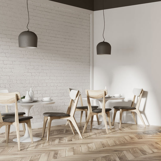 Scent Work University