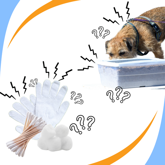 Decoding AKC Handler Discrimination and Buried Classes Virtual Event – Scent Work University