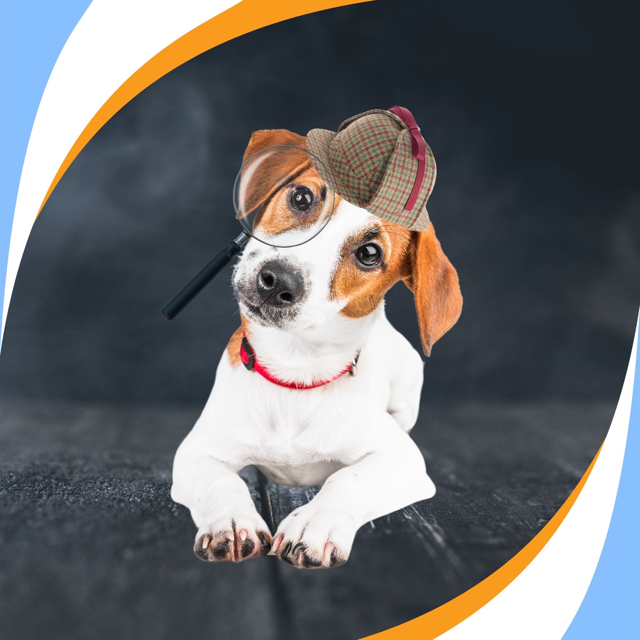 Don’t Let the Q in Detective be a Sleuth; How to Prep for Success! Web ...