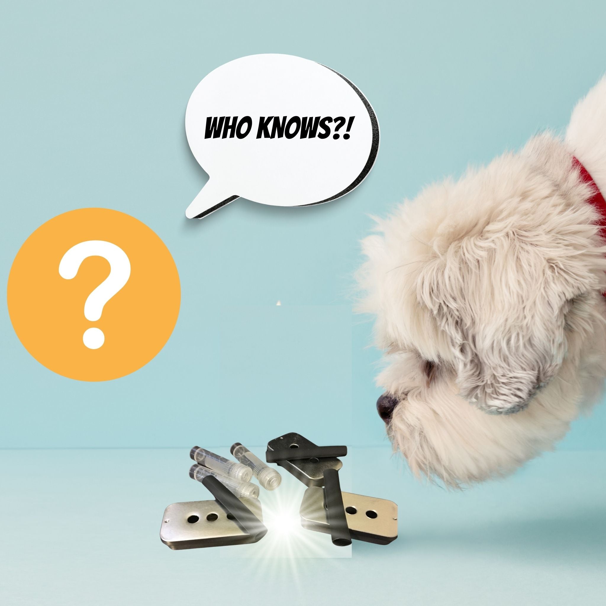 Find Your Hide - Proofing for Messy Odor Profile Webinar – Scent Work ...
