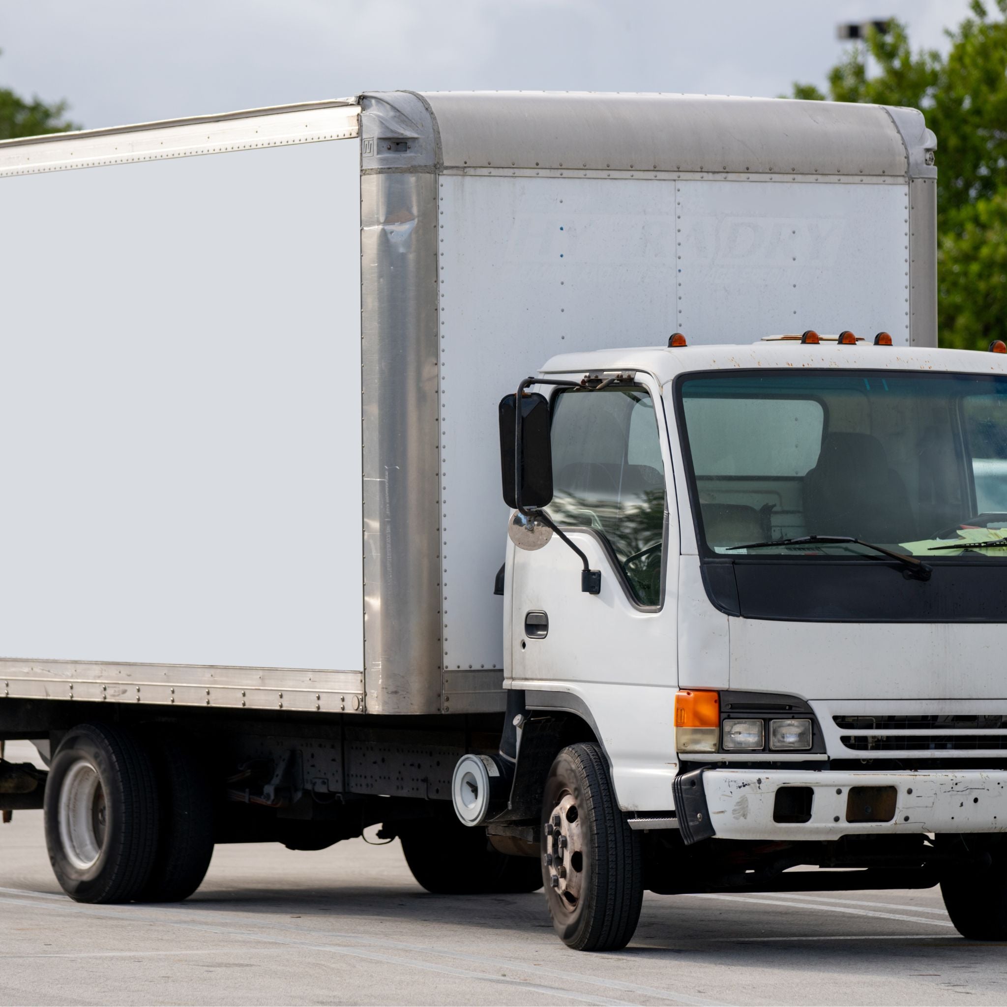 Back to Foundations: Vehicles Webinar – Scent Work University