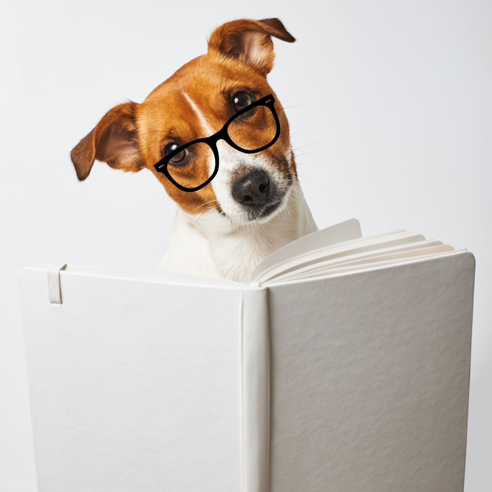 Odor Series Part 3: The Mystery of Strings and Triangles Webinar ...