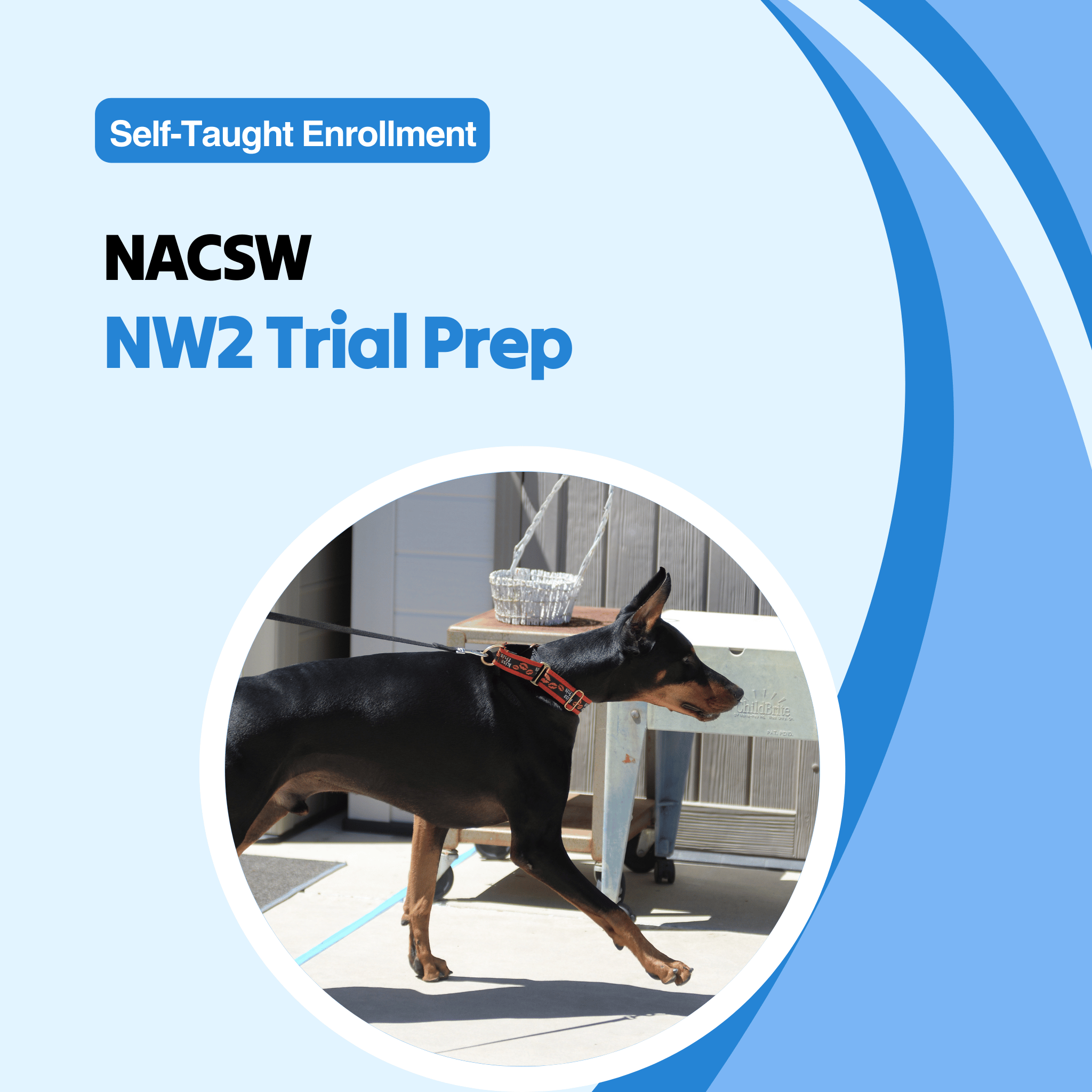 NACSW: NW2 Trial Prep Course – Scent Work University