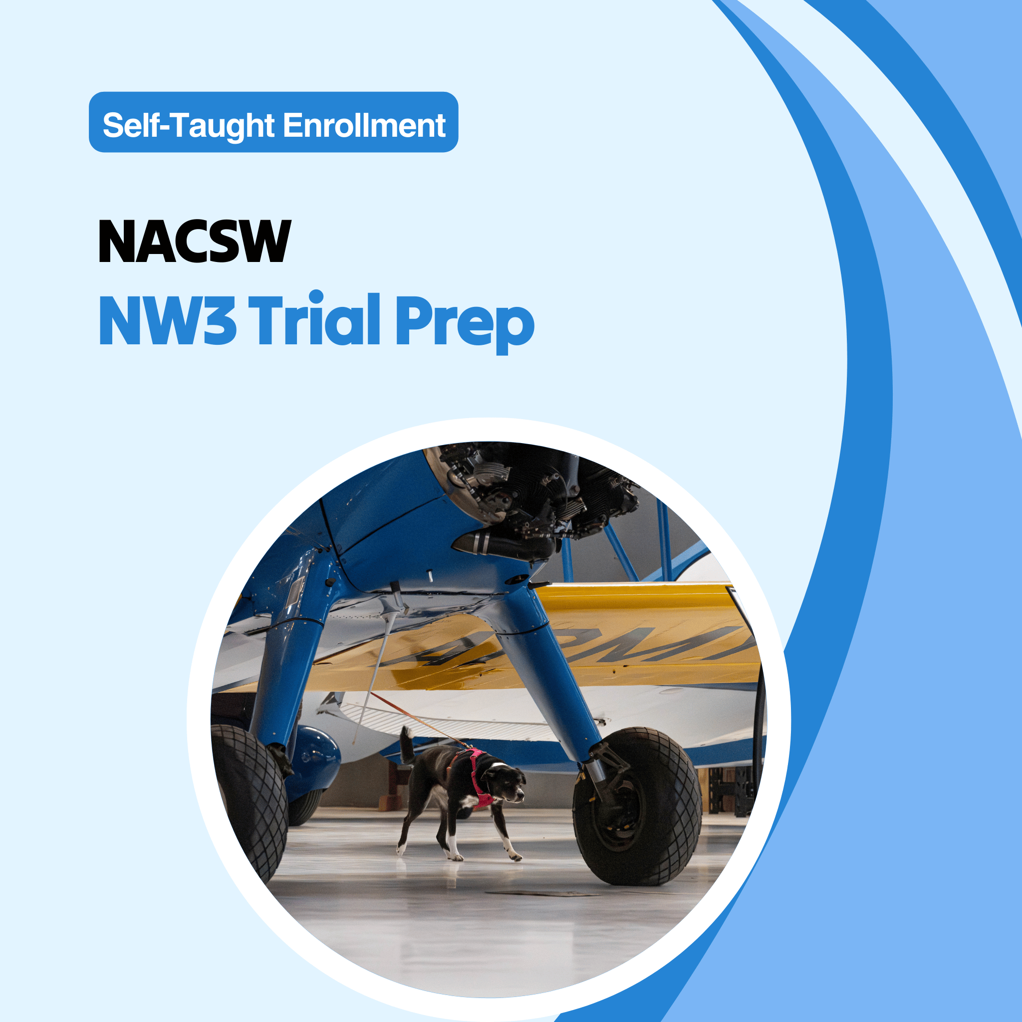 NACSW: NW3 Trial Prep Course – Scent Work University