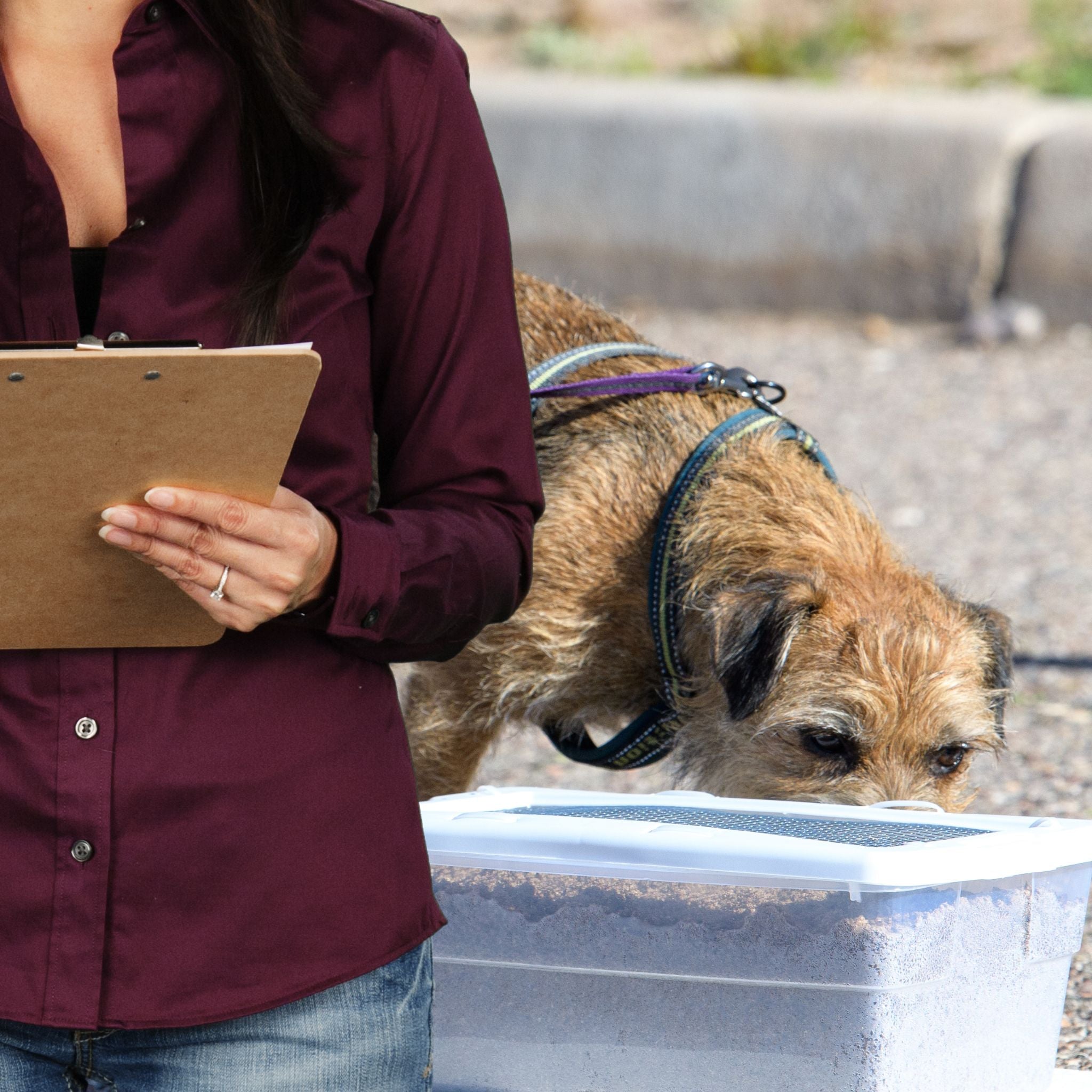 Officiating Right: How to be the Best Scent Work Trial Official Webina ...