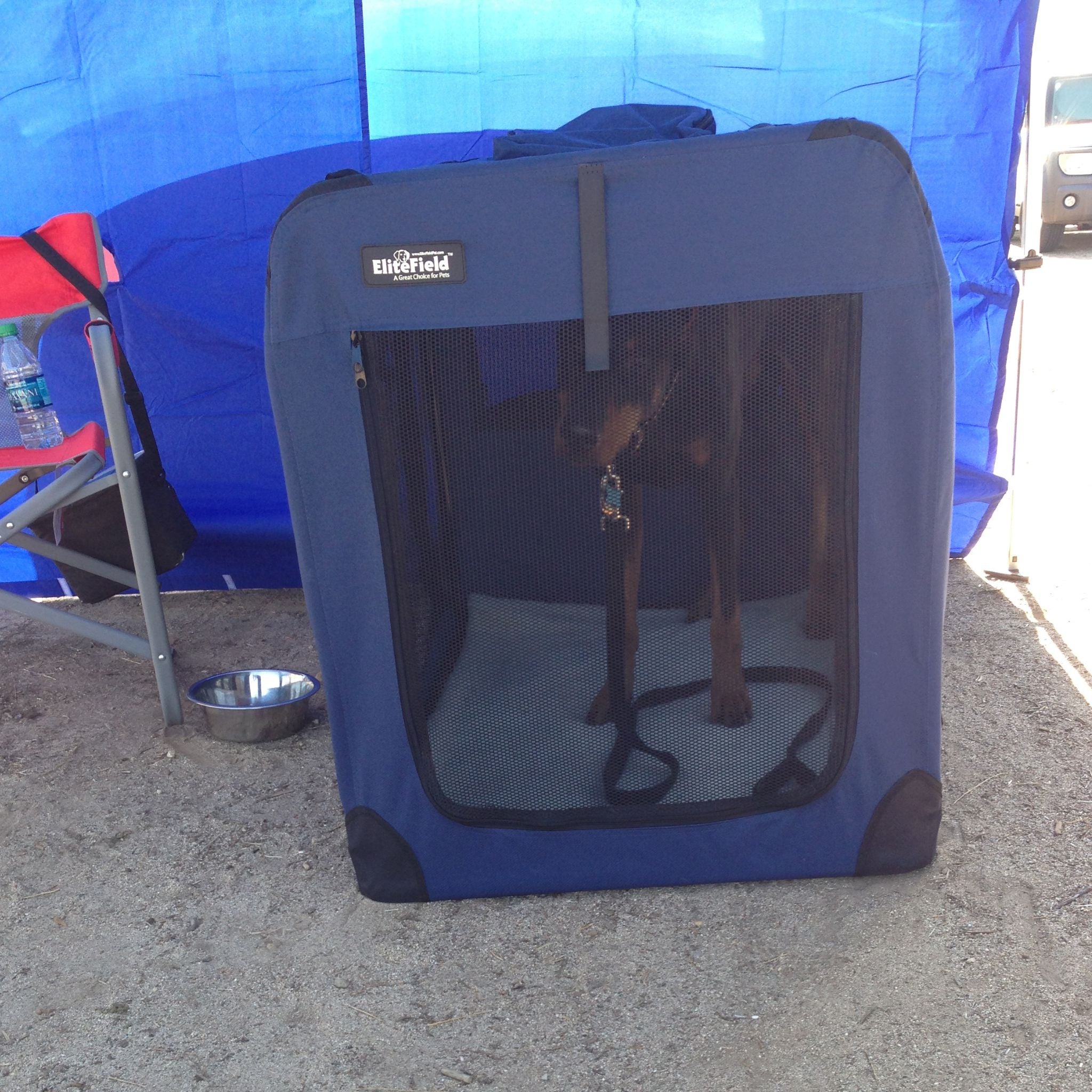 Scent Work Trial Realities Webinar – Scent Work University