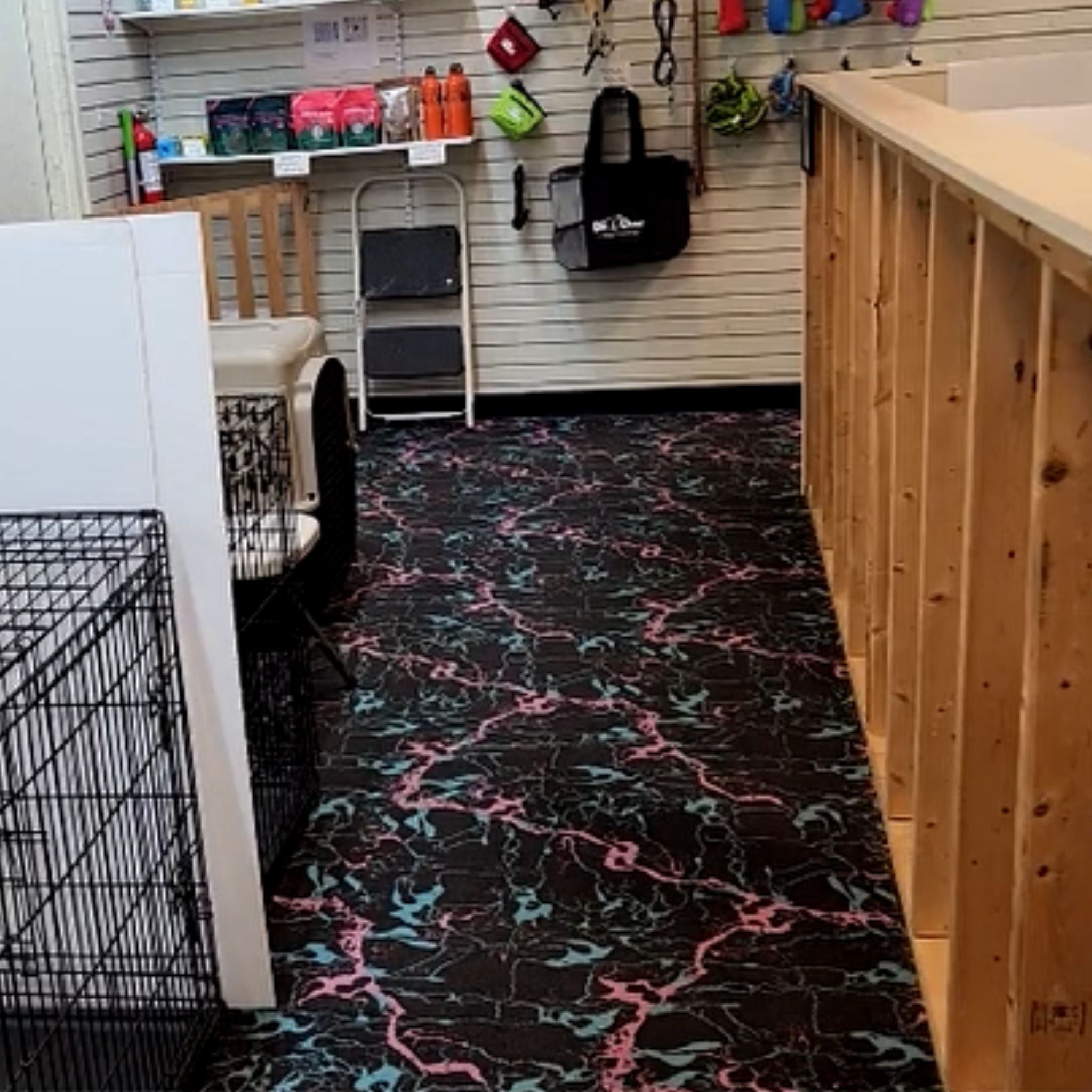 Setting Up Your Training Space for All Dogs Seminar Module – Scent Work ...