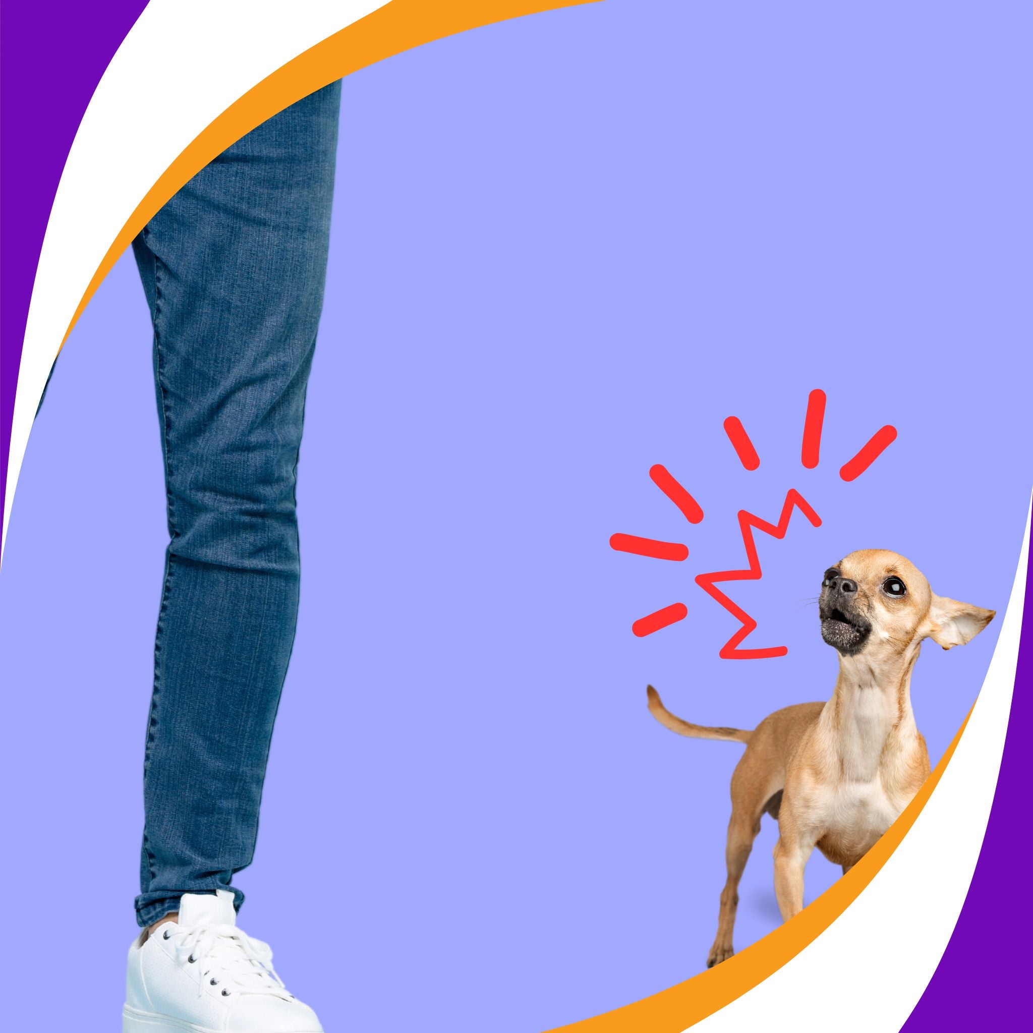 Stranger Danger Webinar – Scent Work University